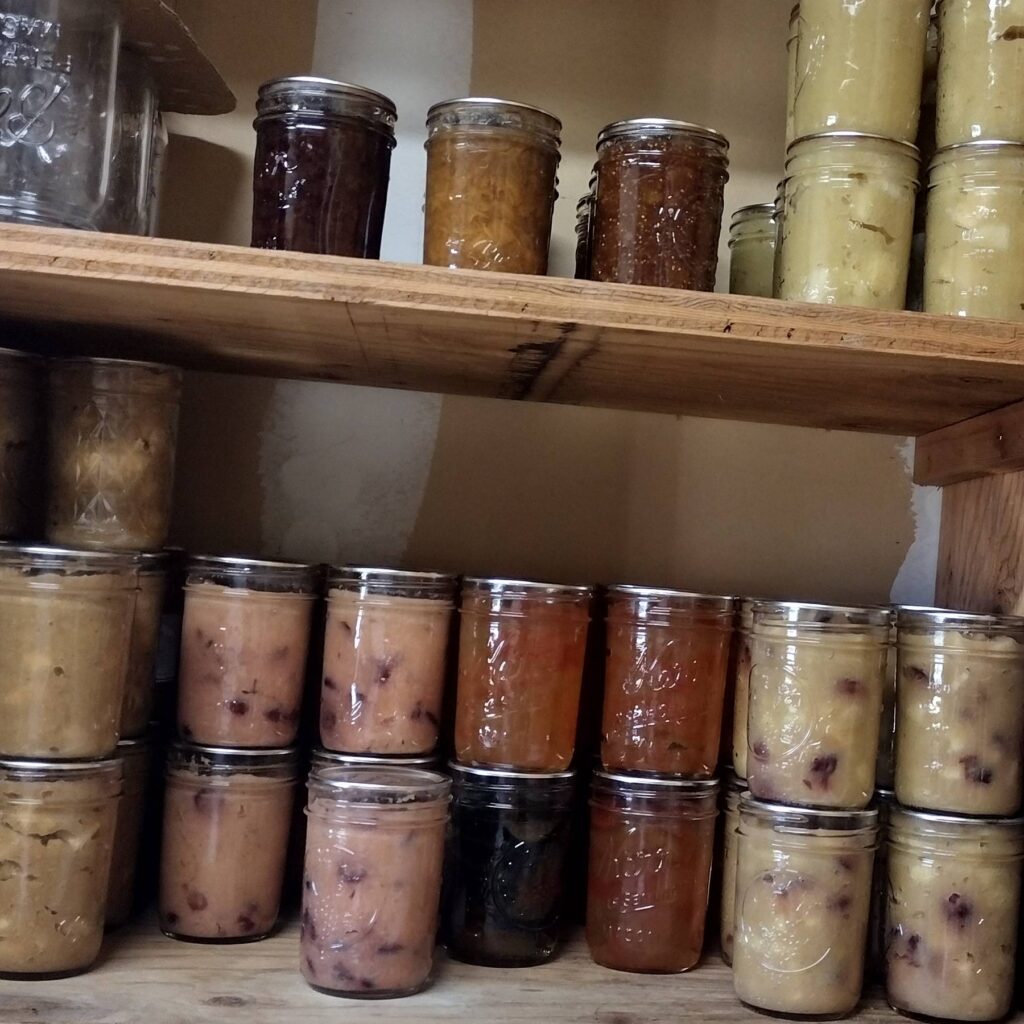 Canning 101 Part 1: The Science, Safety, and History Behind Canning ...