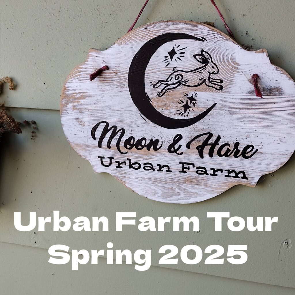 Urban Homestead Tour – Spring 2025 - Moon and Hare Collective